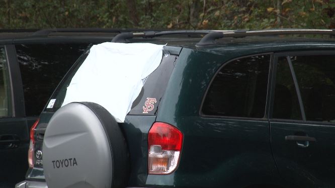 Multiple rear windshields smashed on Southside overnight ...
