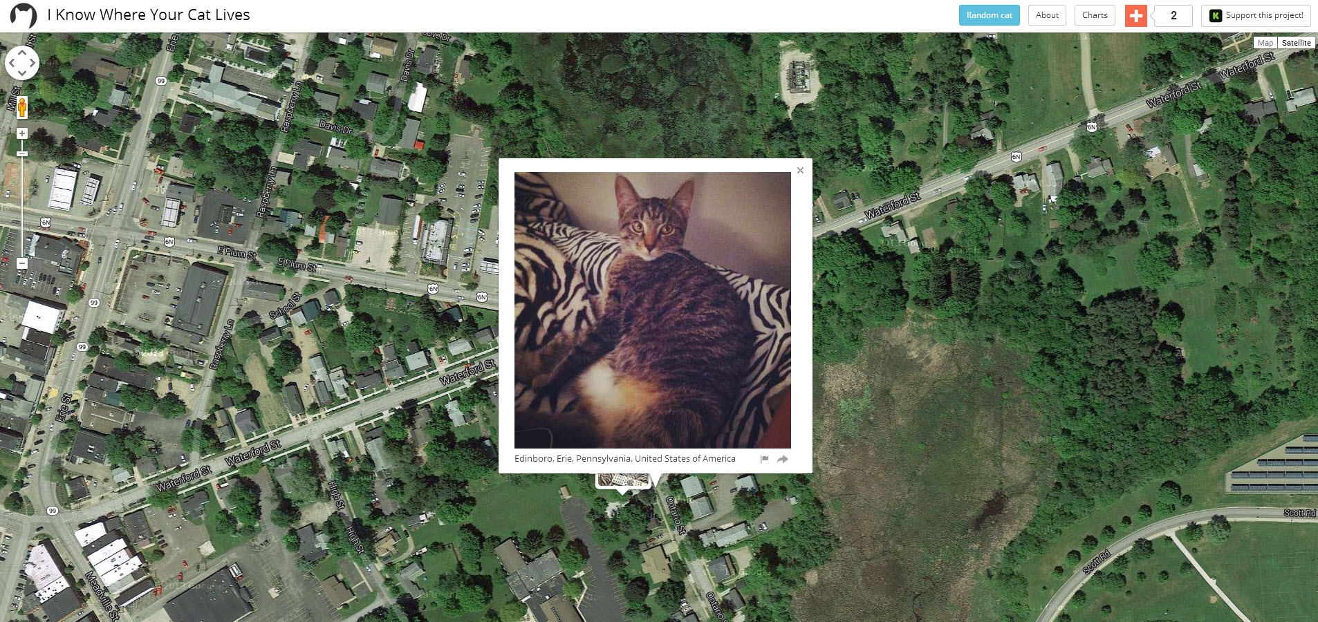 'I know where your cat lives' maps kitty photos | firstcoastnews.com