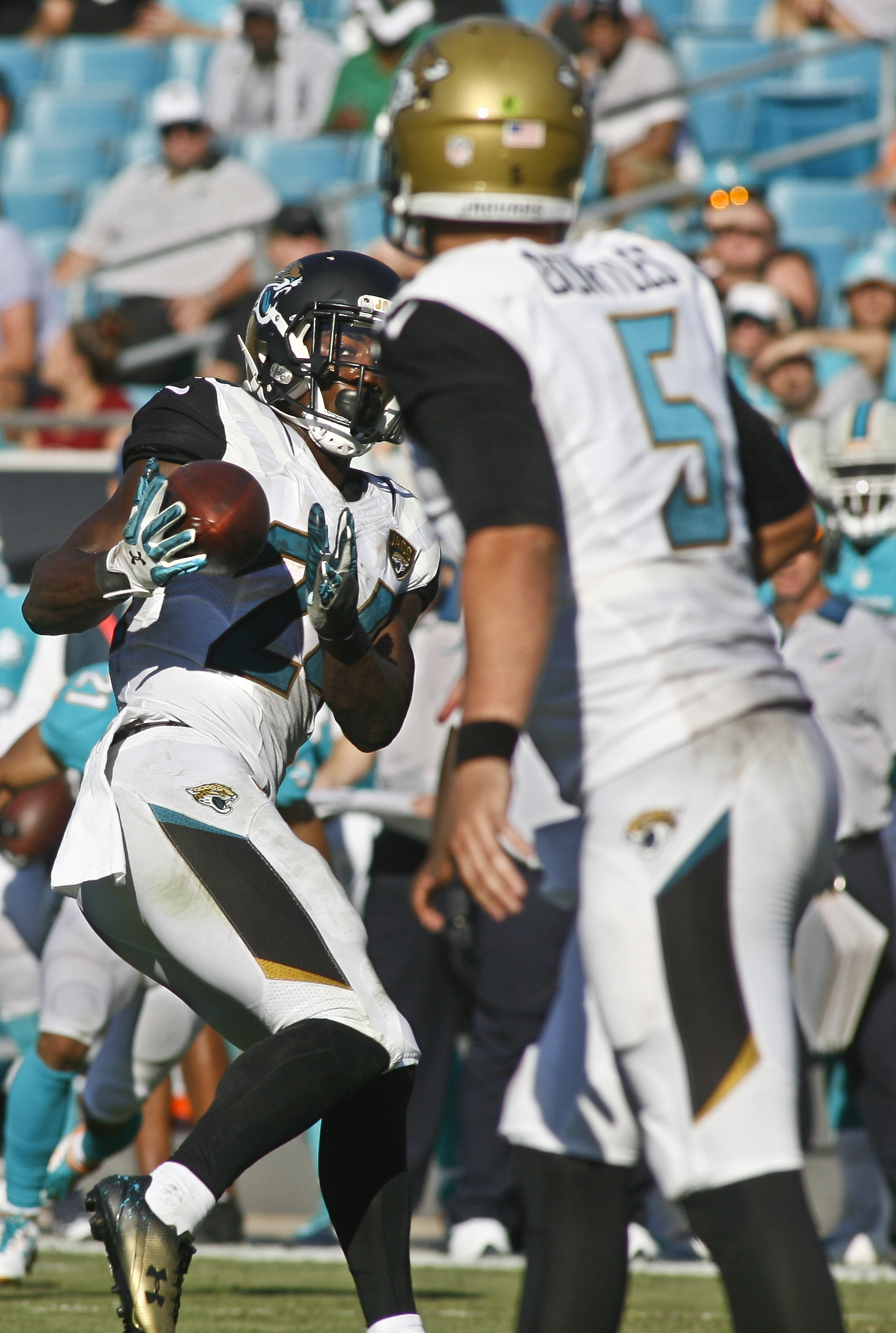 Yeldon becoming an unsung hero in Jaguars passing offense ...