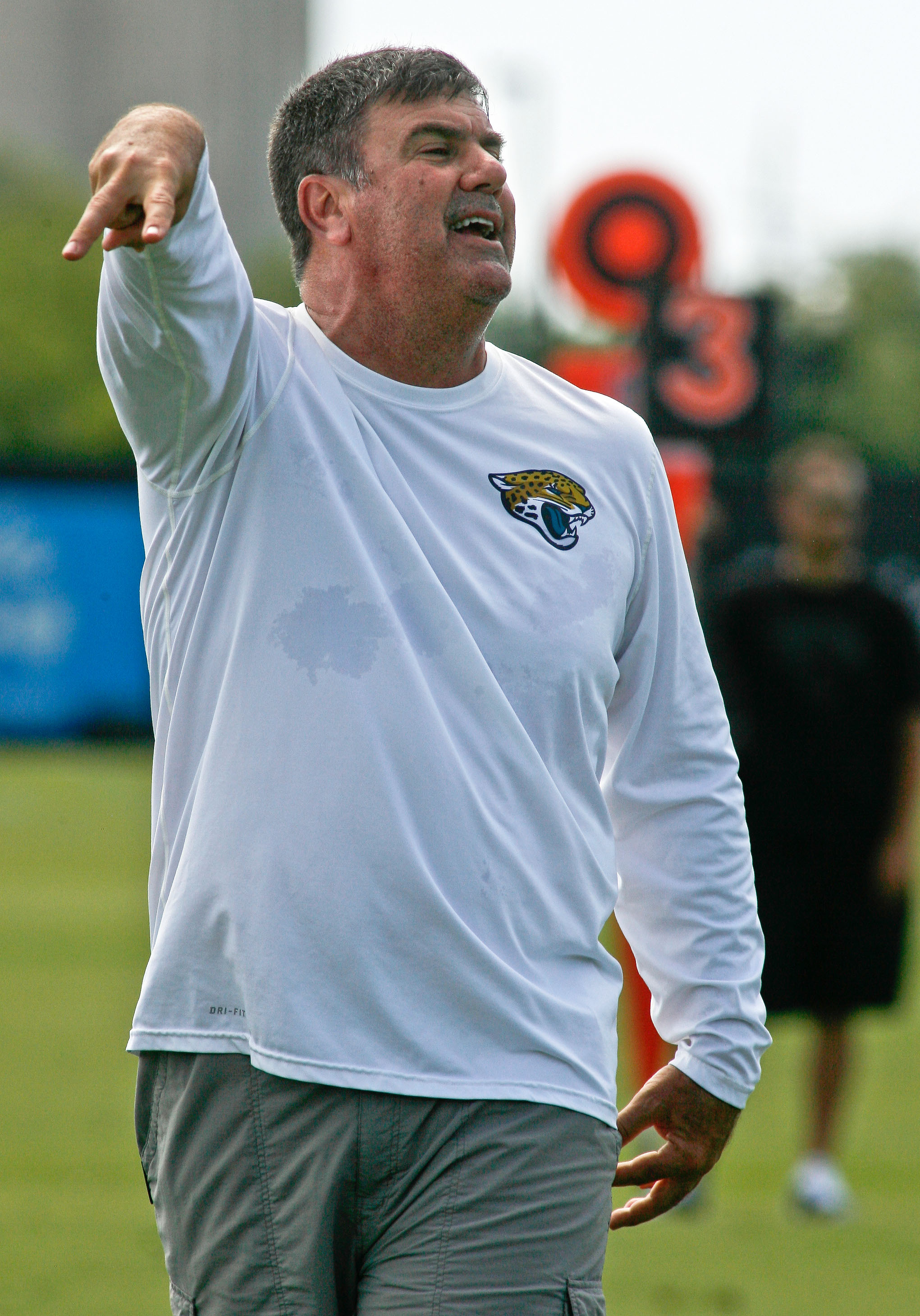 Jaguars fire defensive coordinator Bob Babich | firstcoastnews.com