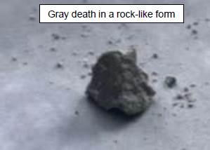 ‘Gray death,' the drug that looks like concrete, kills in one dose ...